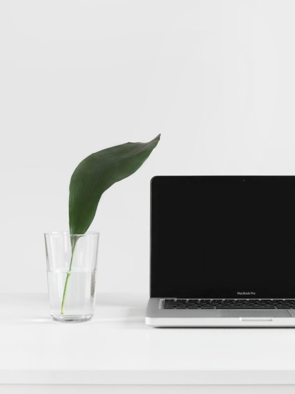 sarah-dorweiler-QeVmJxZOv3k-unsplash